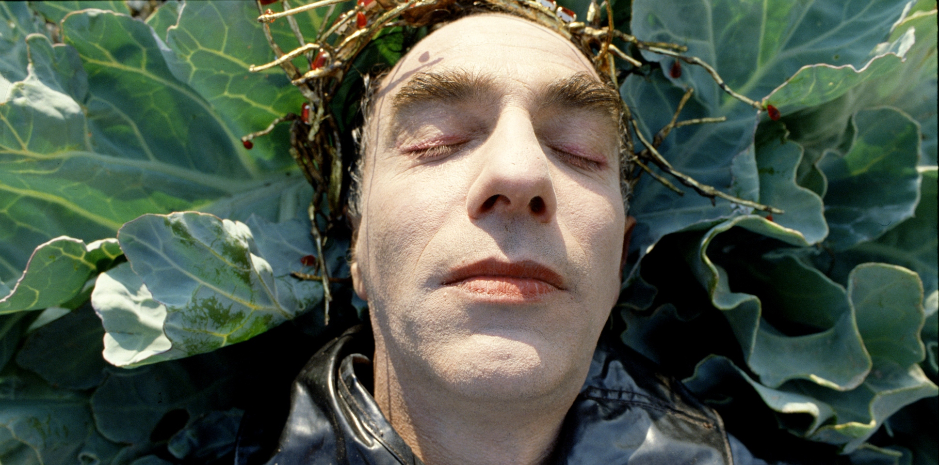 John Hansard Gallery | What's on | Derek Jarman's Modern Nature