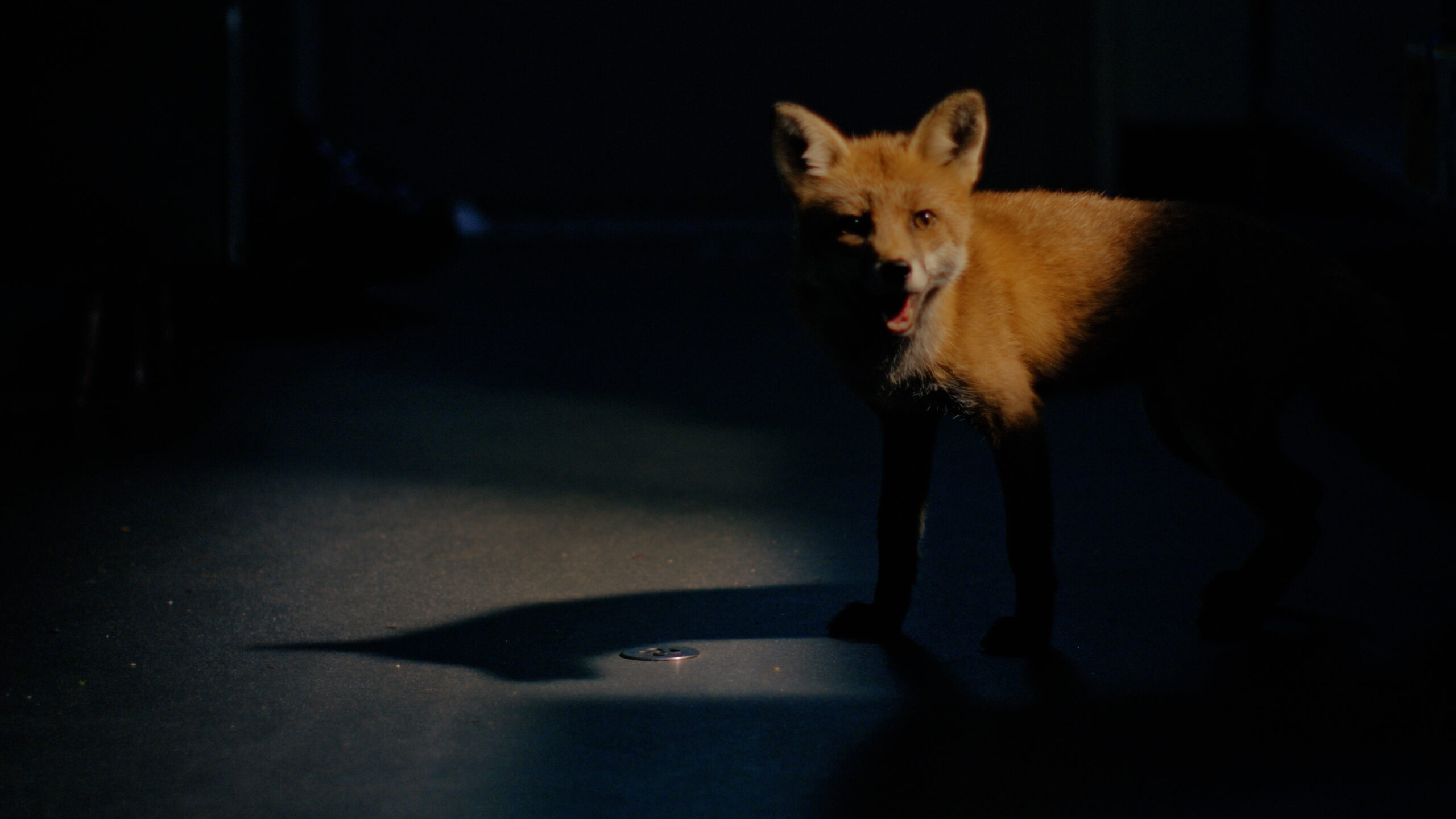 John Hansard Gallery | What's on | Digital Array // Gerard Ortin ...